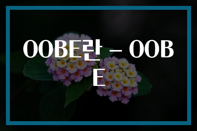 "OOBE란 무엇인가? 당신의 인식을 뒤바꿀 신비로운 경험!" - 돈이 되는 모든정보를 알려드립니다.