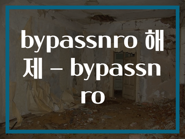 "완벽 해제법! Bypass NRO로 모든 제약을 없애자!" - 돈이 되는 모든정보를 알려드립니다.